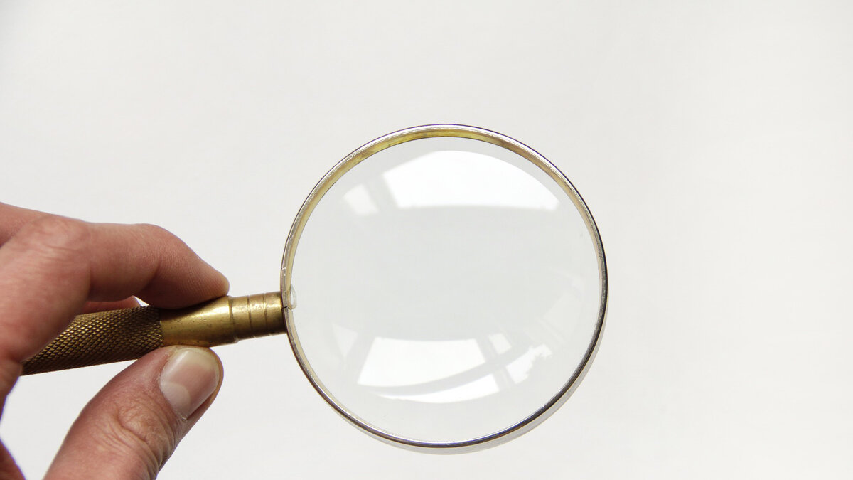 Schellhammer zur Vorsitzenden des Transparenzbeirats gewählt: Grüne ...